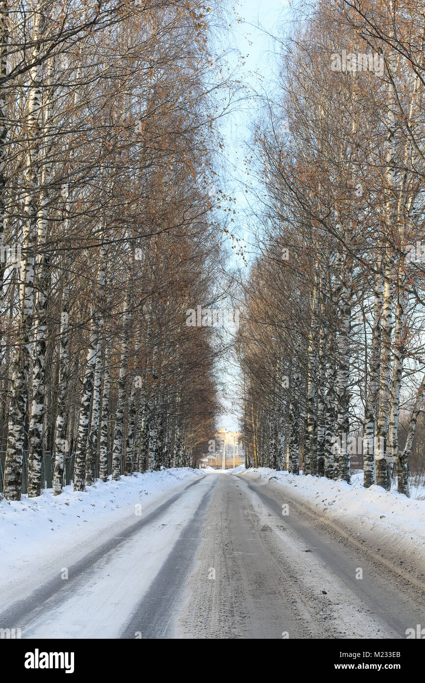 Frost Covered Landscape High Resolution Stock Photography and Images ...