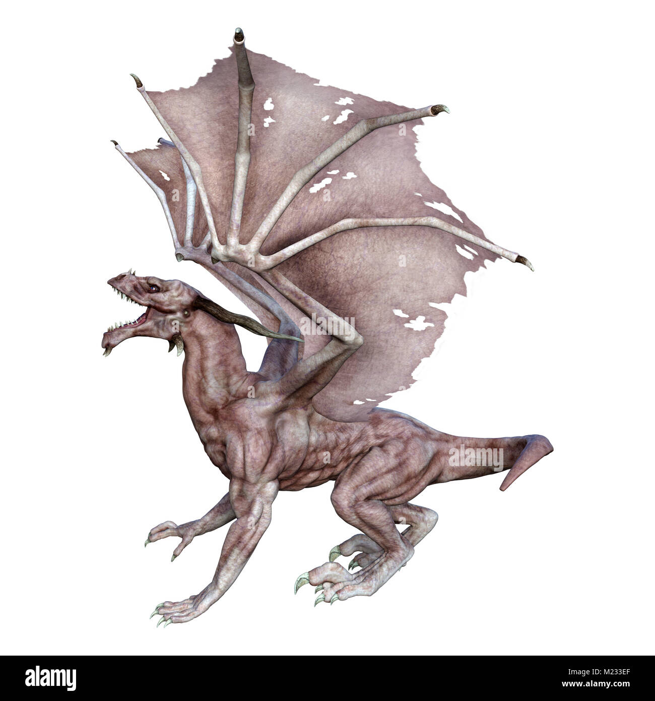 3D rendering of a fantasy vampire dragon isolated on white background ...