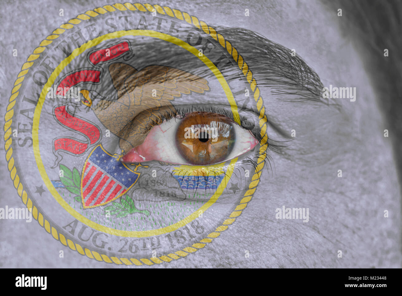 Human face and eye painted with US state seal flag of Illinois Stock ...