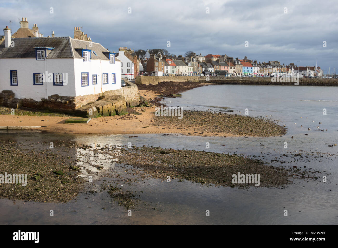 Anstruther beach seaweed hi-res stock photography and images - Alamy