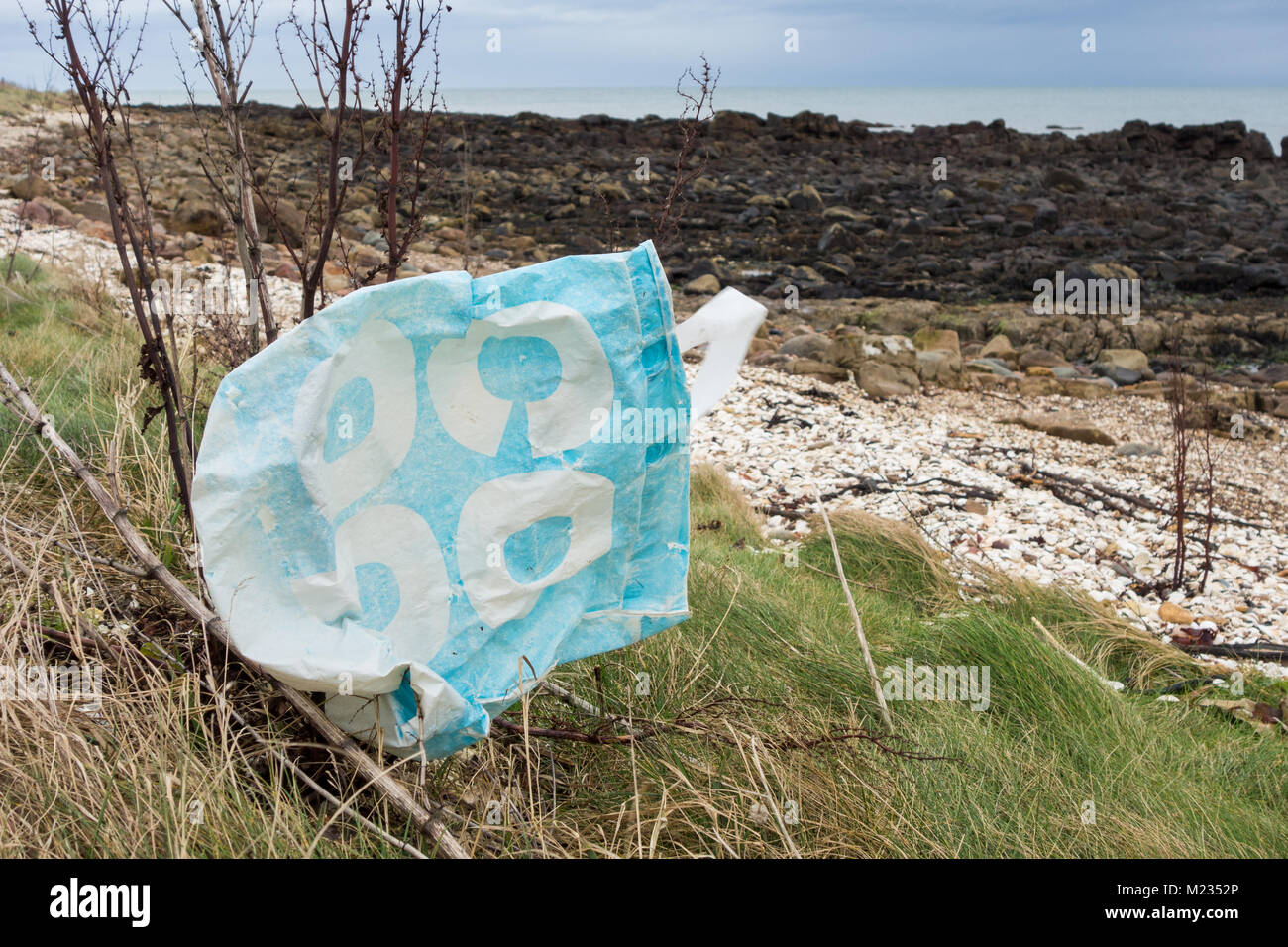 Plastic Bag In The Wind