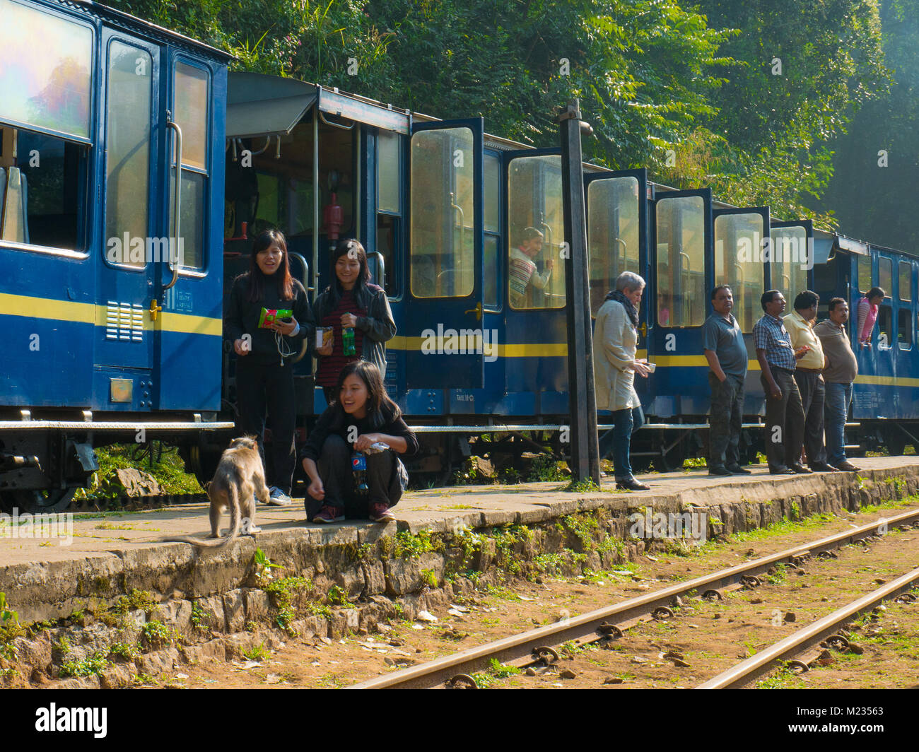 Animal powered vehicle hi-res stock photography and images - Alamy
