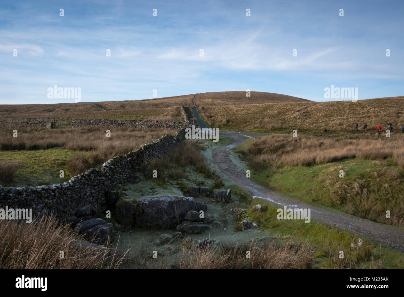 Bridlepaths High Resolution Stock Photography and Images - Alamy