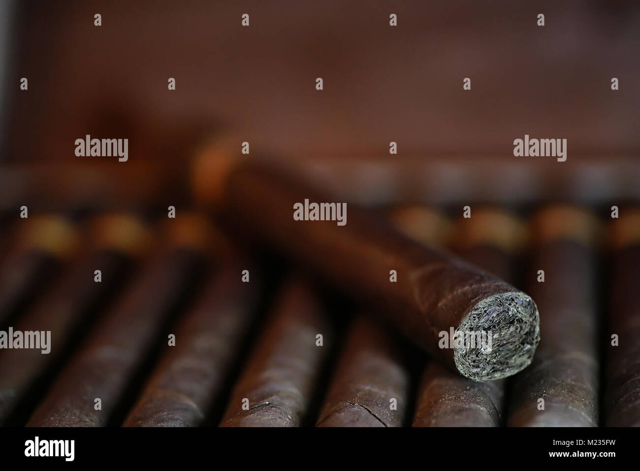 large wooden box of cigars handmade Cuban Stock Photo - Alamy