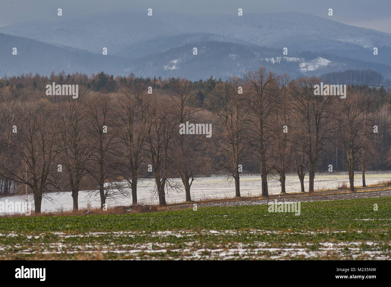 Lower Silesian winter landscape Lower Silesia Poland Stock Photo - Alamy