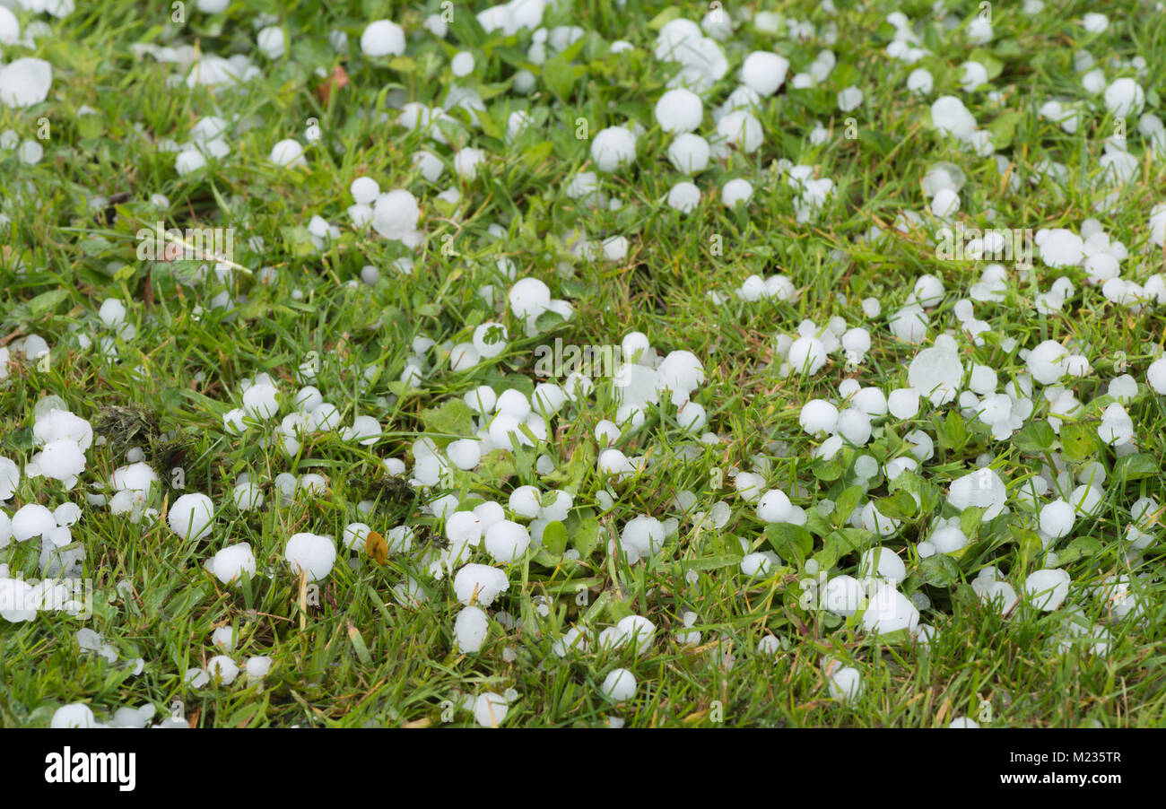 Hailstone hi-res stock photography and images - Alamy