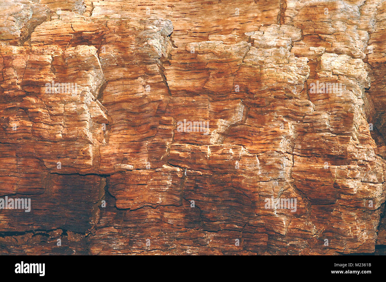 Log pattern hi-res stock photography and images - Alamy