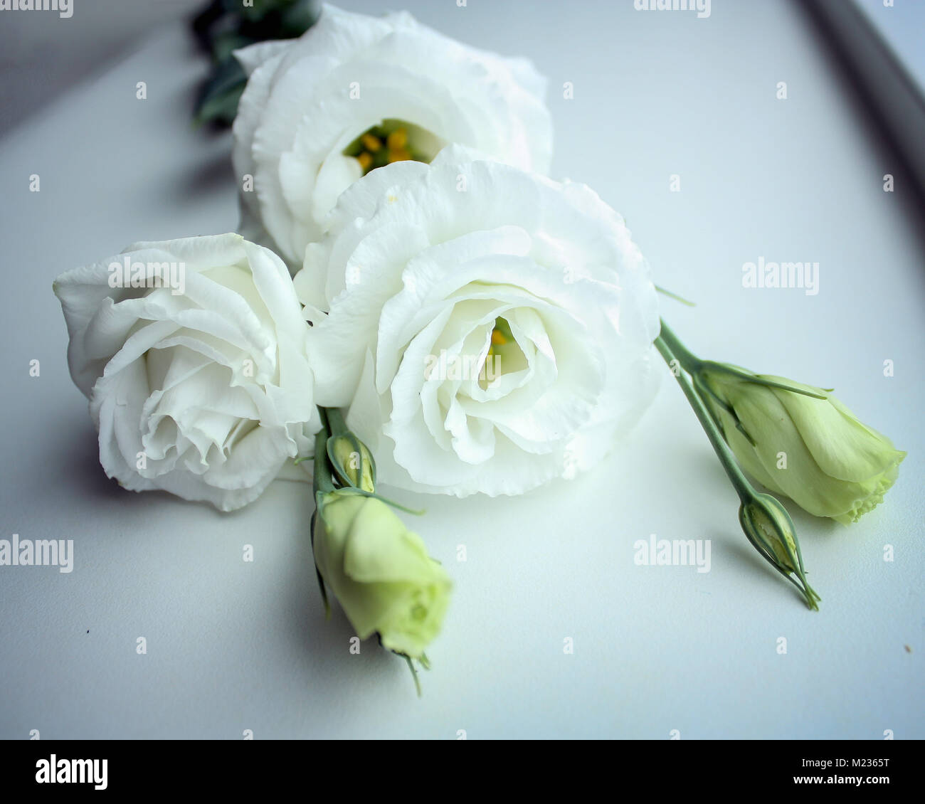 Three flower bouquet hi-res stock photography and images - Alamy