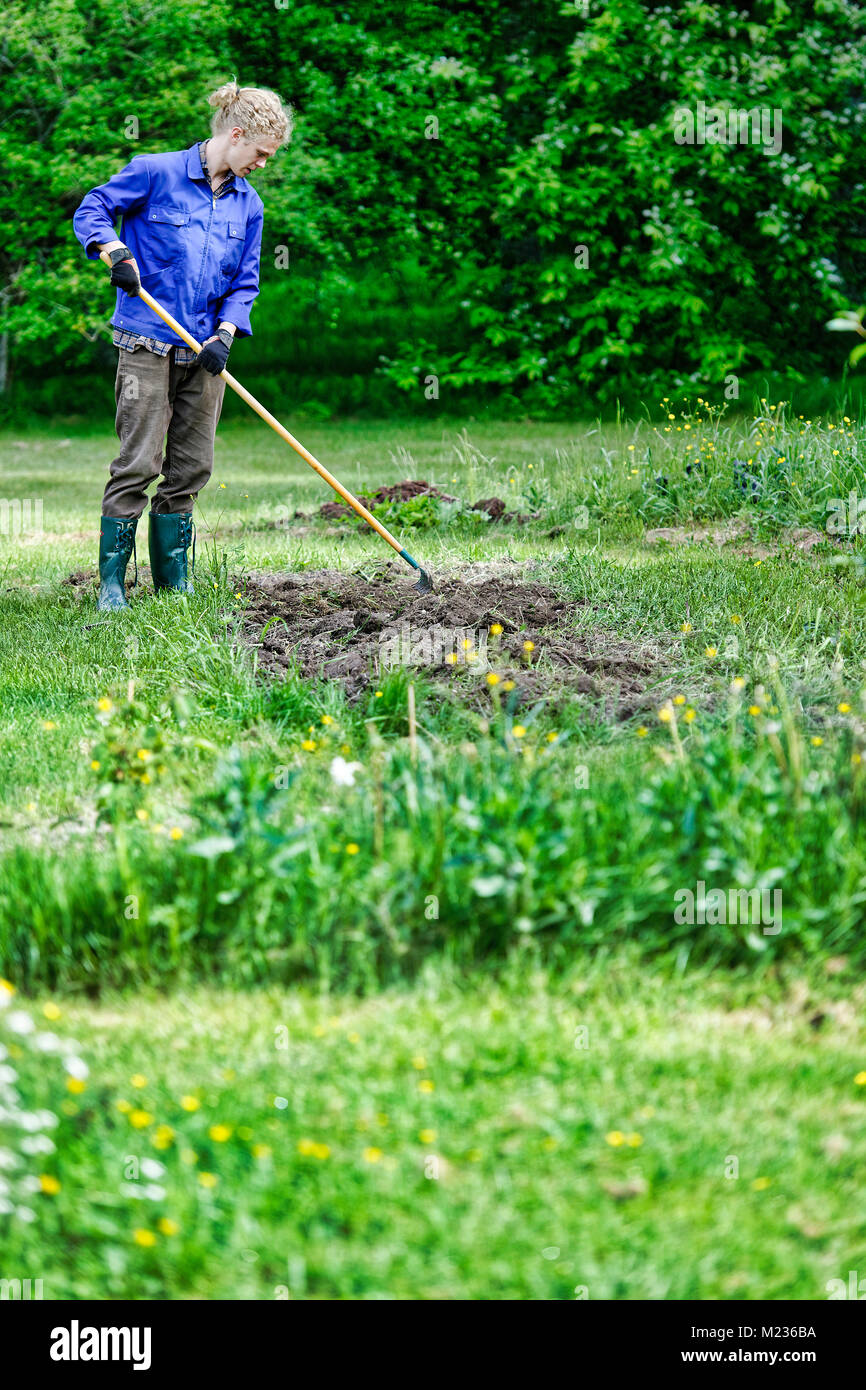 Yong man raking in the garden Stock Photo - Alamy