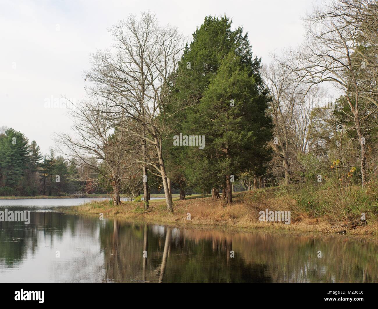 Bernheim forest hi-res stock photography and images - Alamy