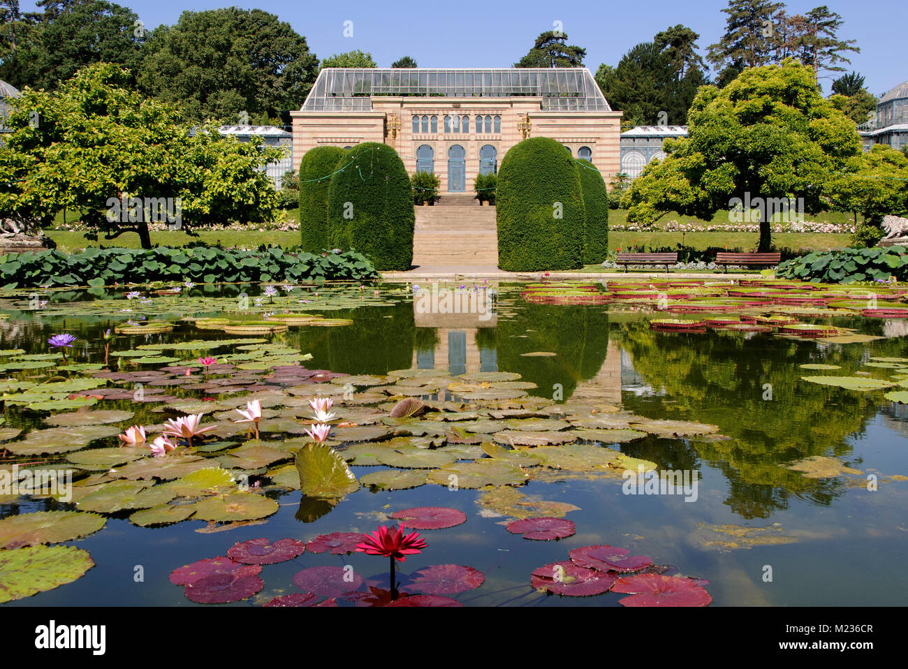 Wilhelma hi-res stock photography and images - Alamy