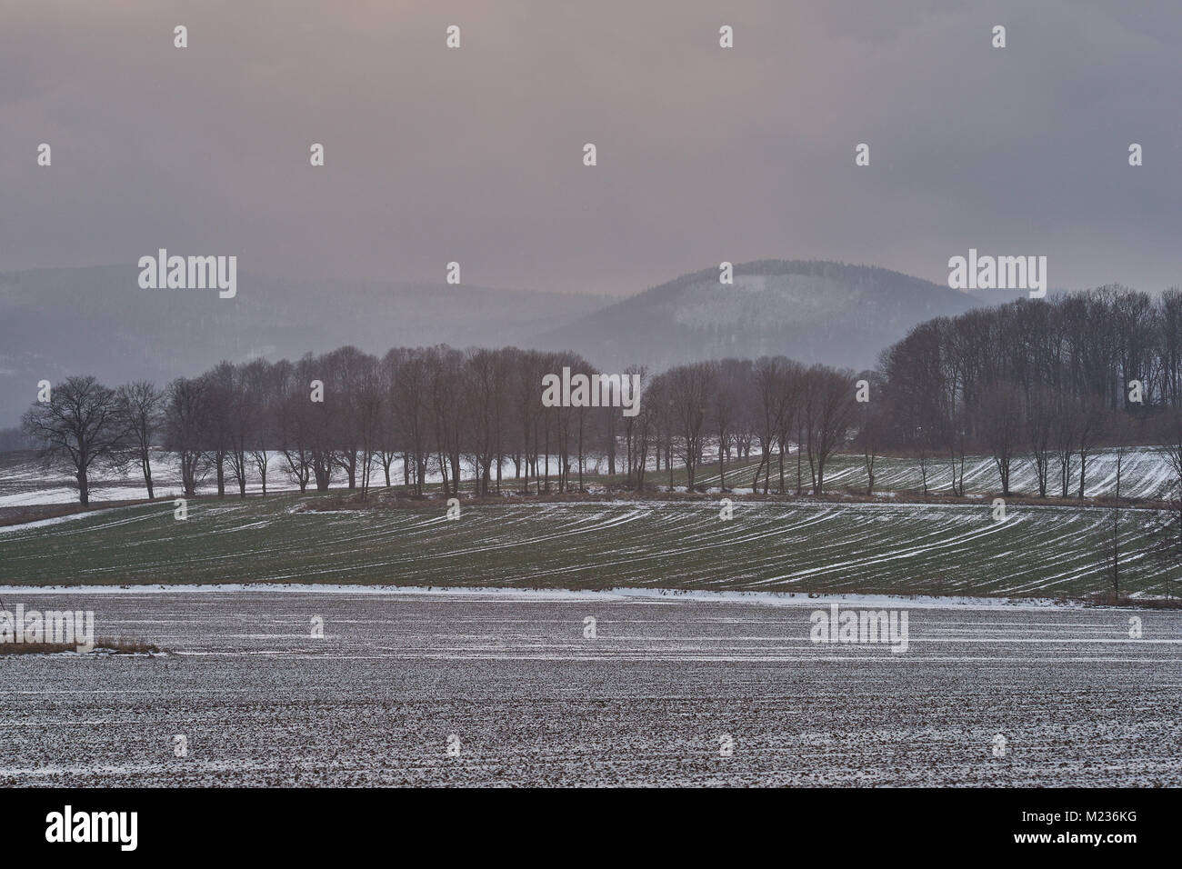 Lower Silesian winter landscape Lower Silesia Poland Stock Photo - Alamy