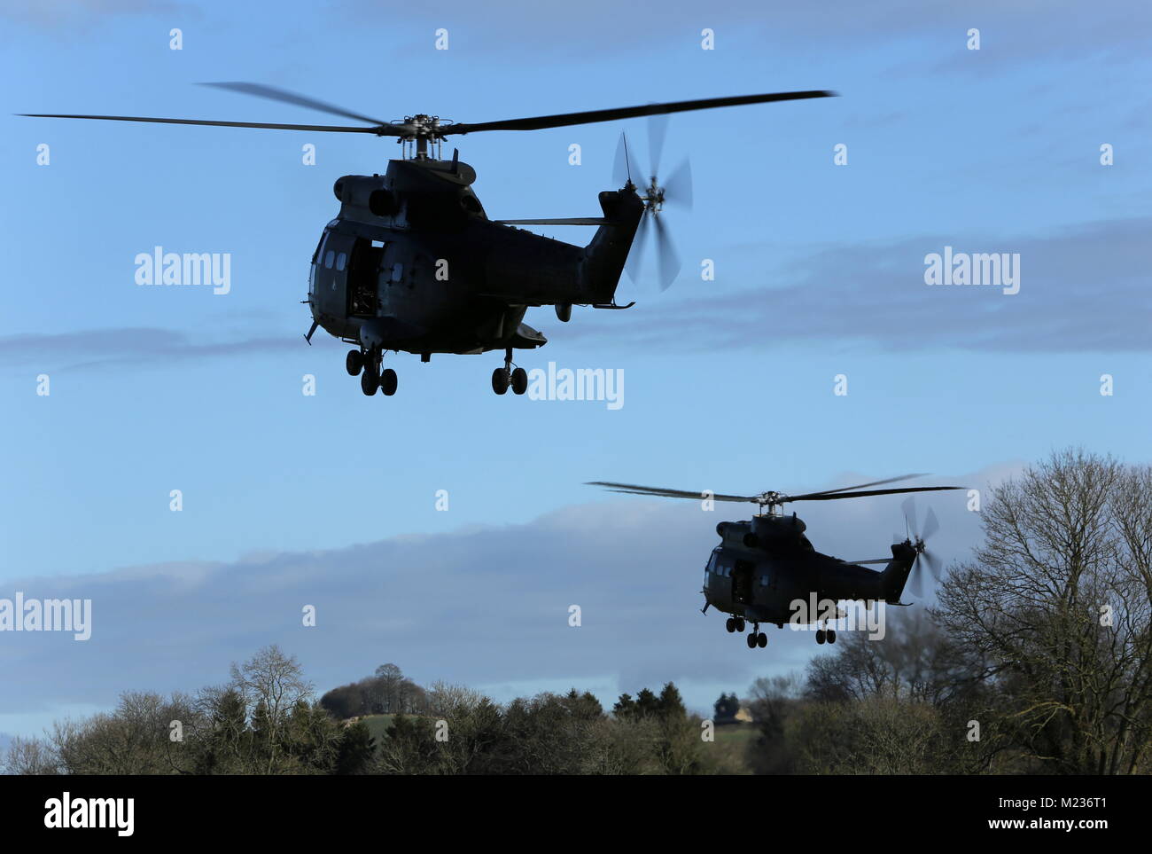 Two RAF Puma helicopters arriving on exercises at a farm in the ...