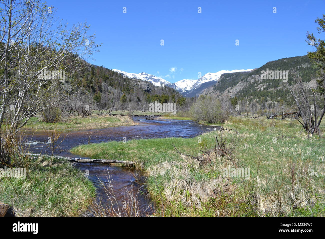 Cub see trail hi-res stock photography and images - Alamy
