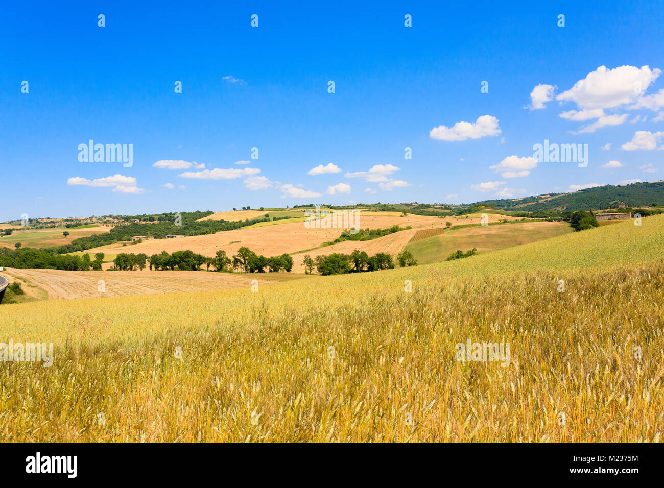 Tuscany hills landscape, Italy. Rural italian panorama Stock Photo - Alamy