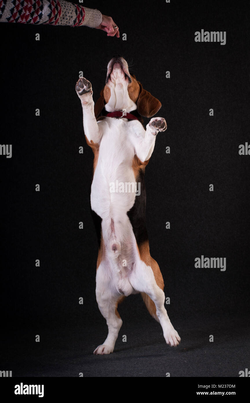 Full body photo jump hi-res stock photography and images - Alamy