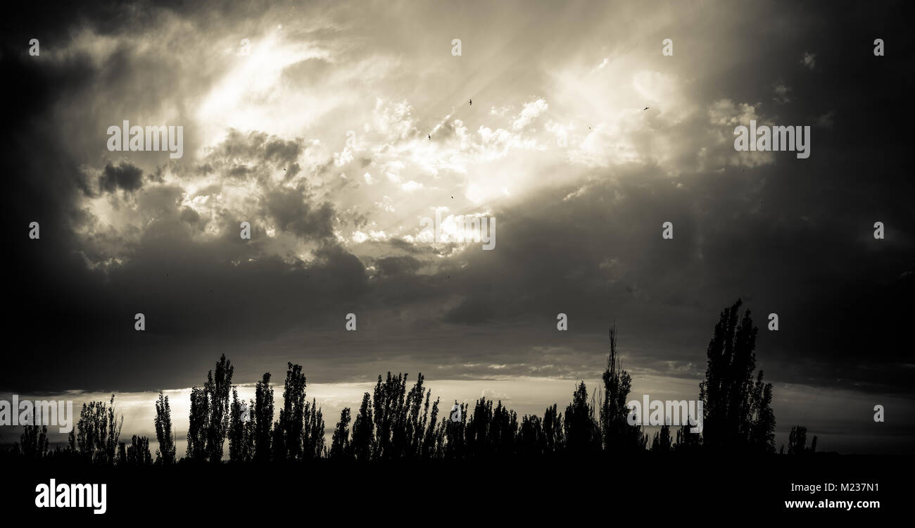 Landscape with dramatic light - beautiful golden sunset with saturated ...