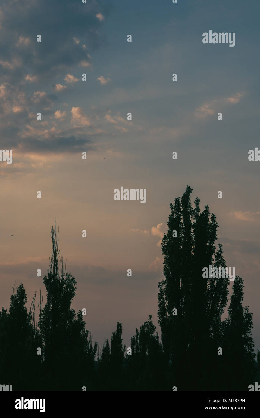 Landscape with dramatic light - beautiful golden sunset with saturated ...