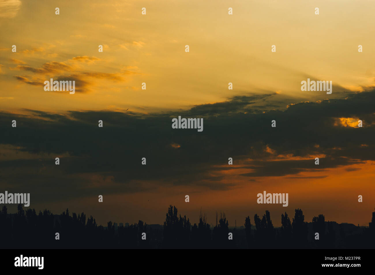 Landscape with dramatic light - beautiful golden sunset with saturated ...