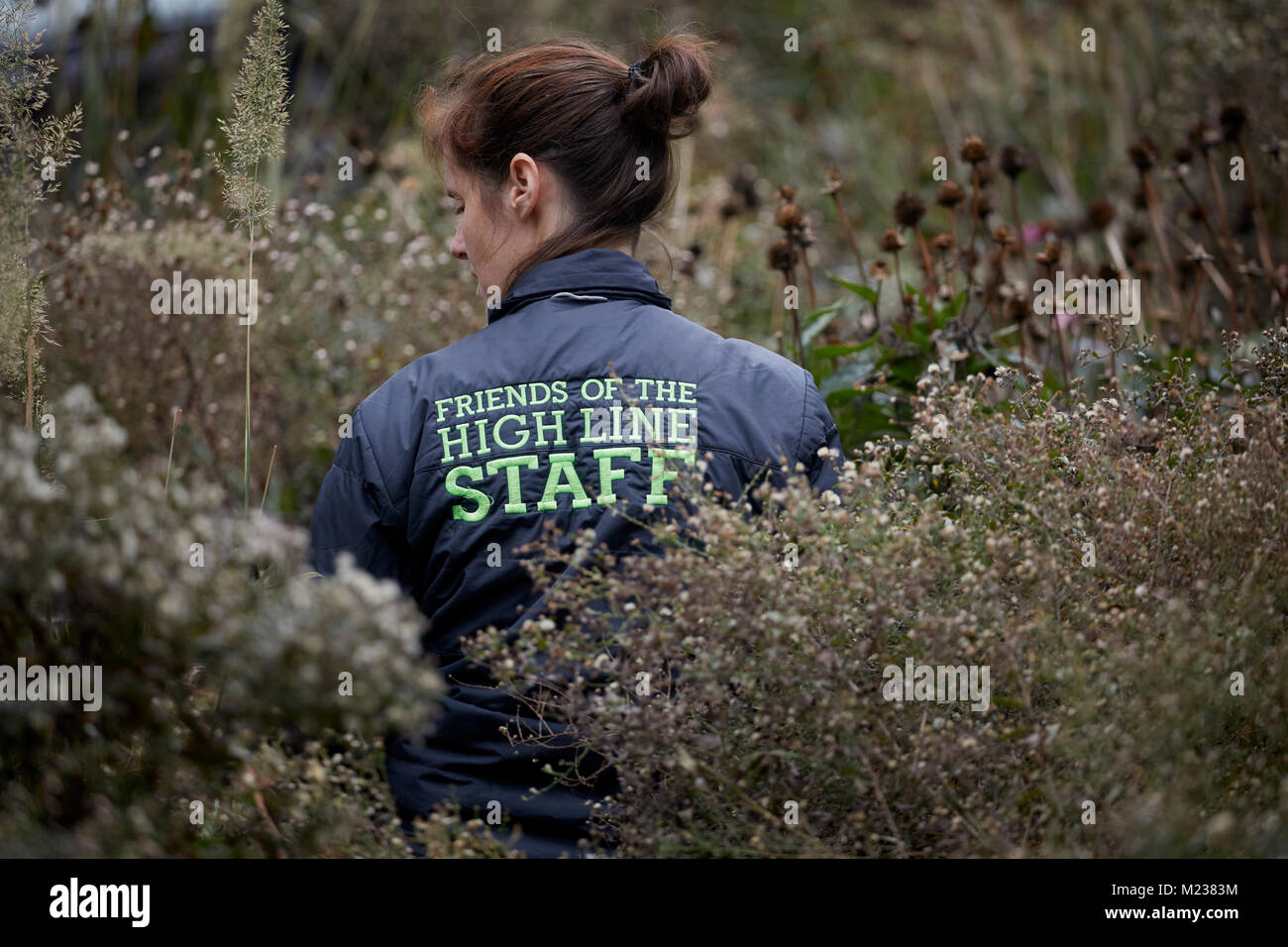 New York city in Manhattan High Line worker at work Stock Photo - Alamy