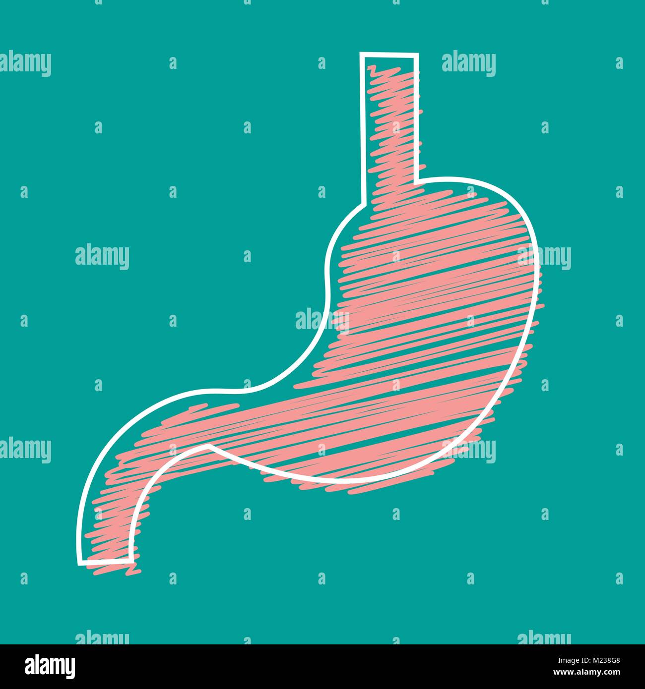 Stomach icon. Human internal organs symbol. Digestive system anatomy ...