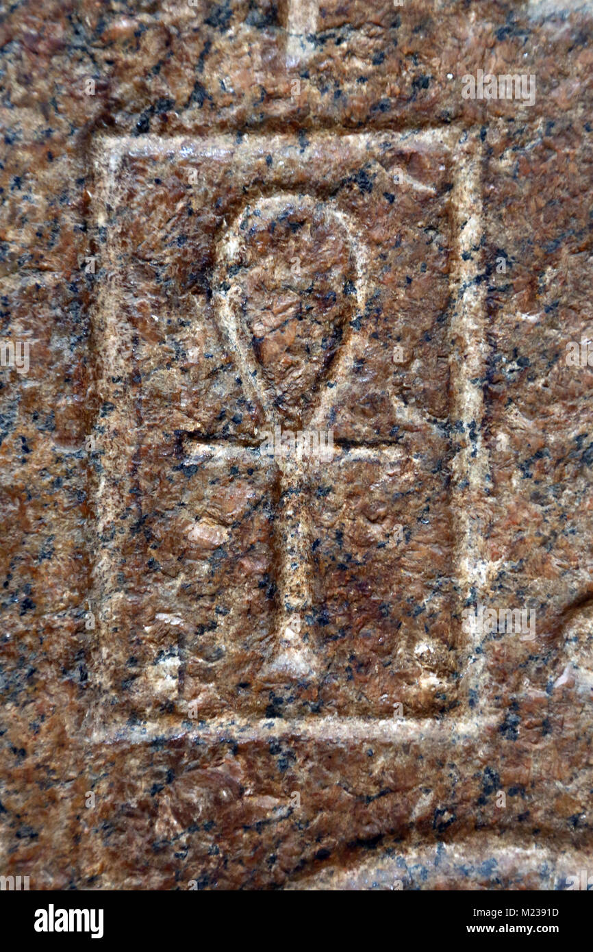 Ancient symbols of tree of life hi-res stock photography and images - Alamy