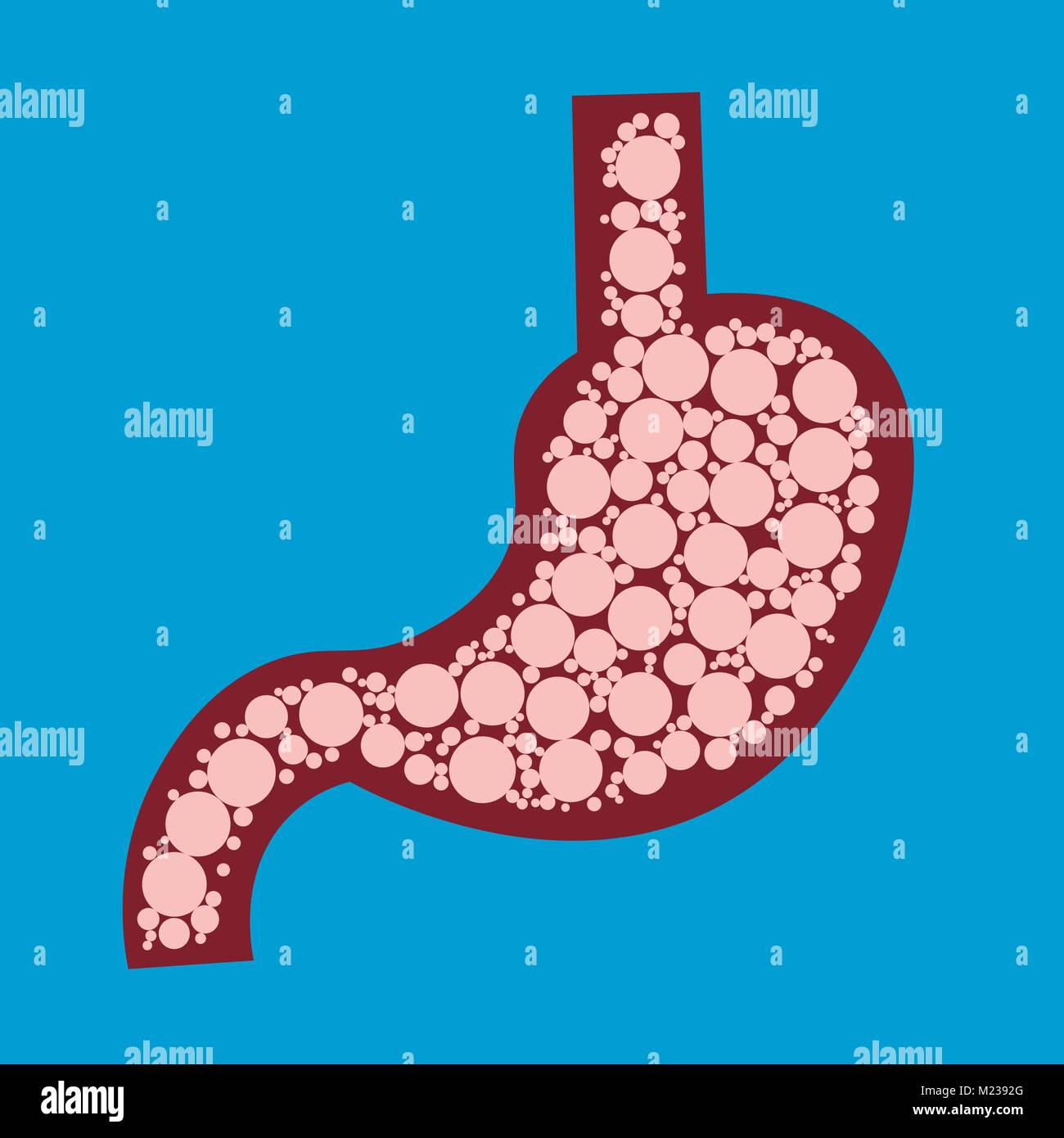 Stomach icon. Human internal organs symbol. Digestive system anatomy ...