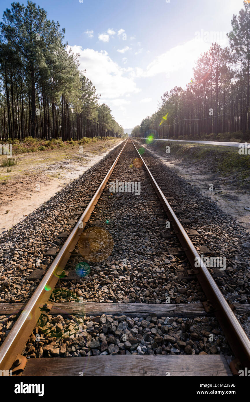 long straight empty railway tracks disappearing into the distance Stock ...