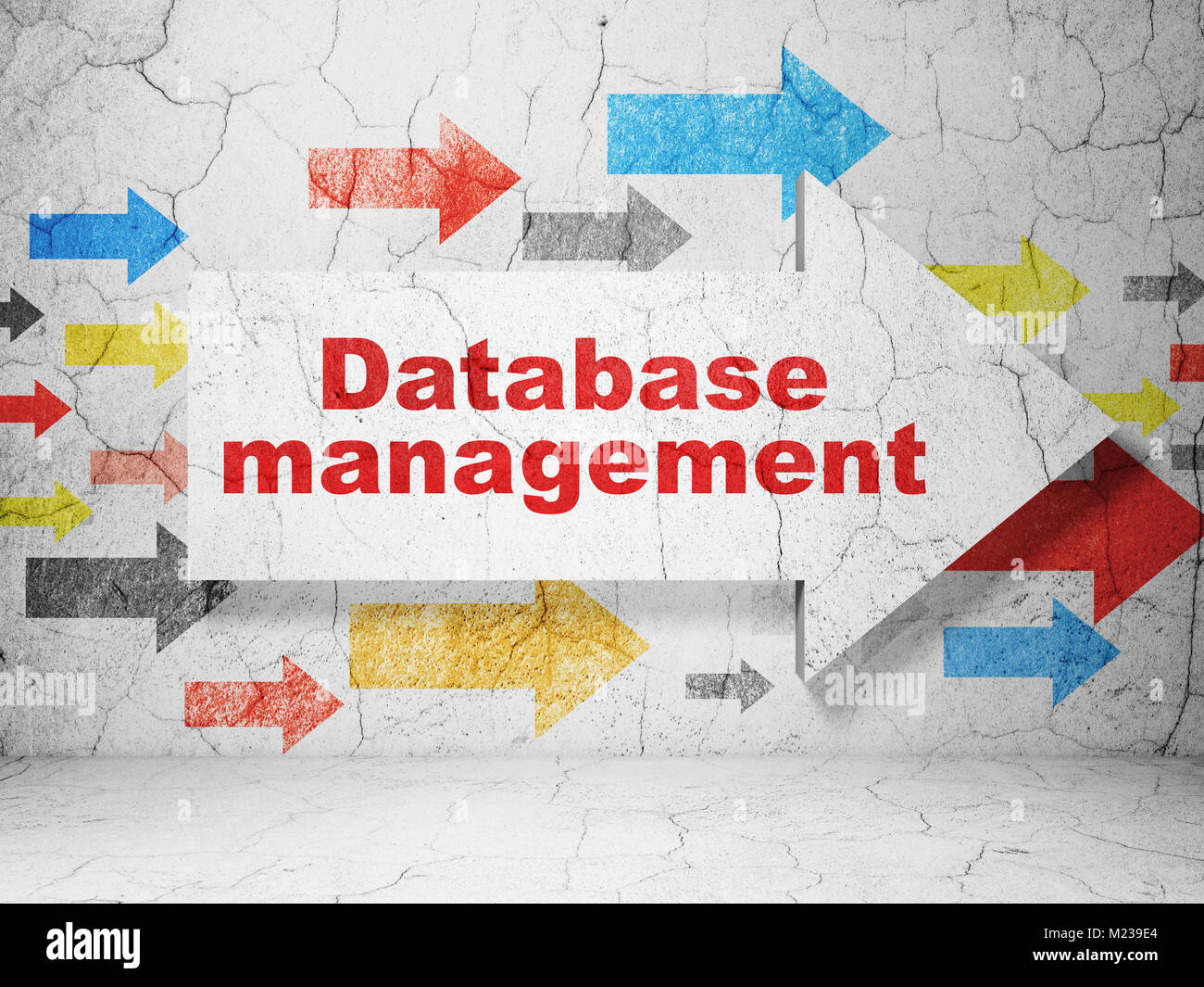 Database concept: arrow with Database Management on grunge wall ...