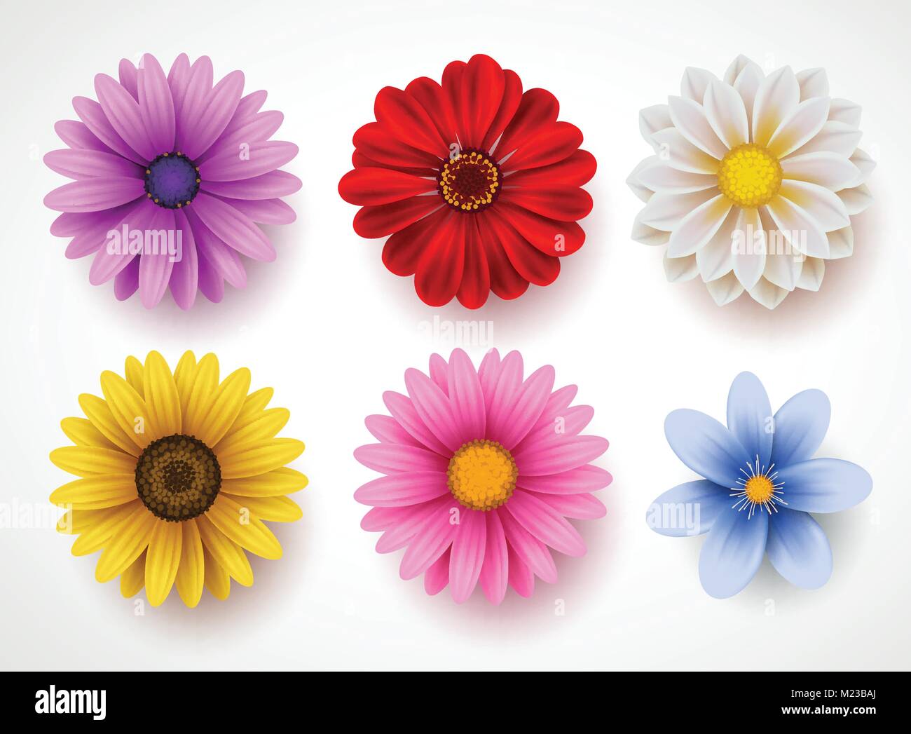 Spring flowers colorful vector set isolated in white background ...