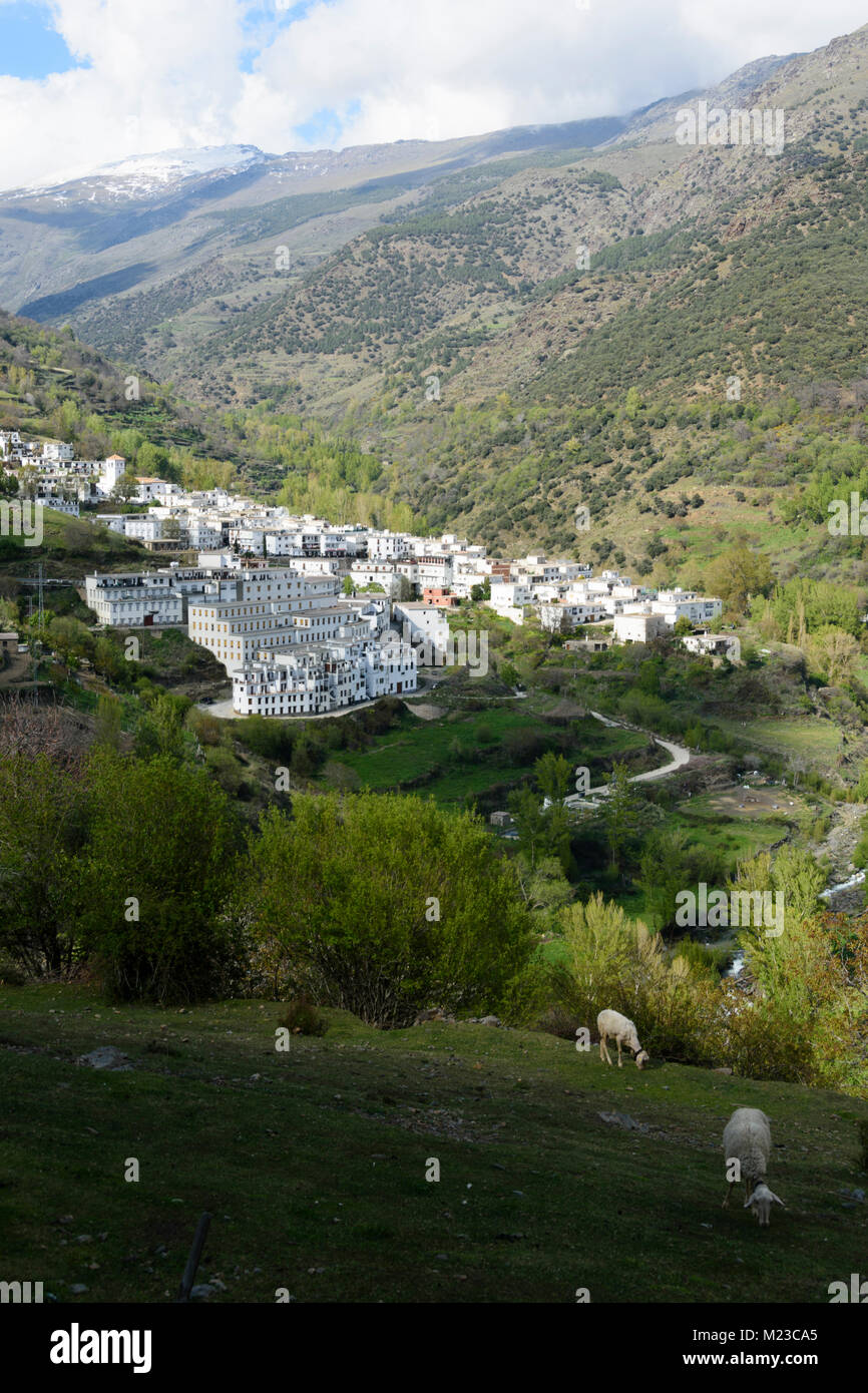 Sierra Nevada, Trevelez, Spain Stock Photo - Alamy