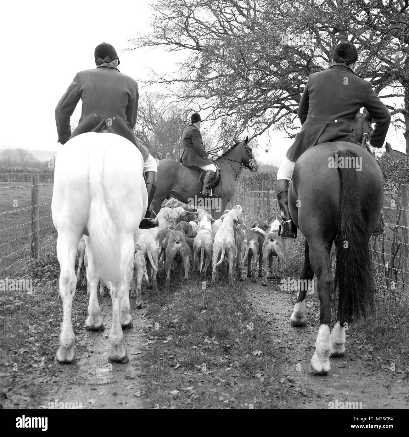 Fox hunt Black and White Stock Photos & Images - Alamy