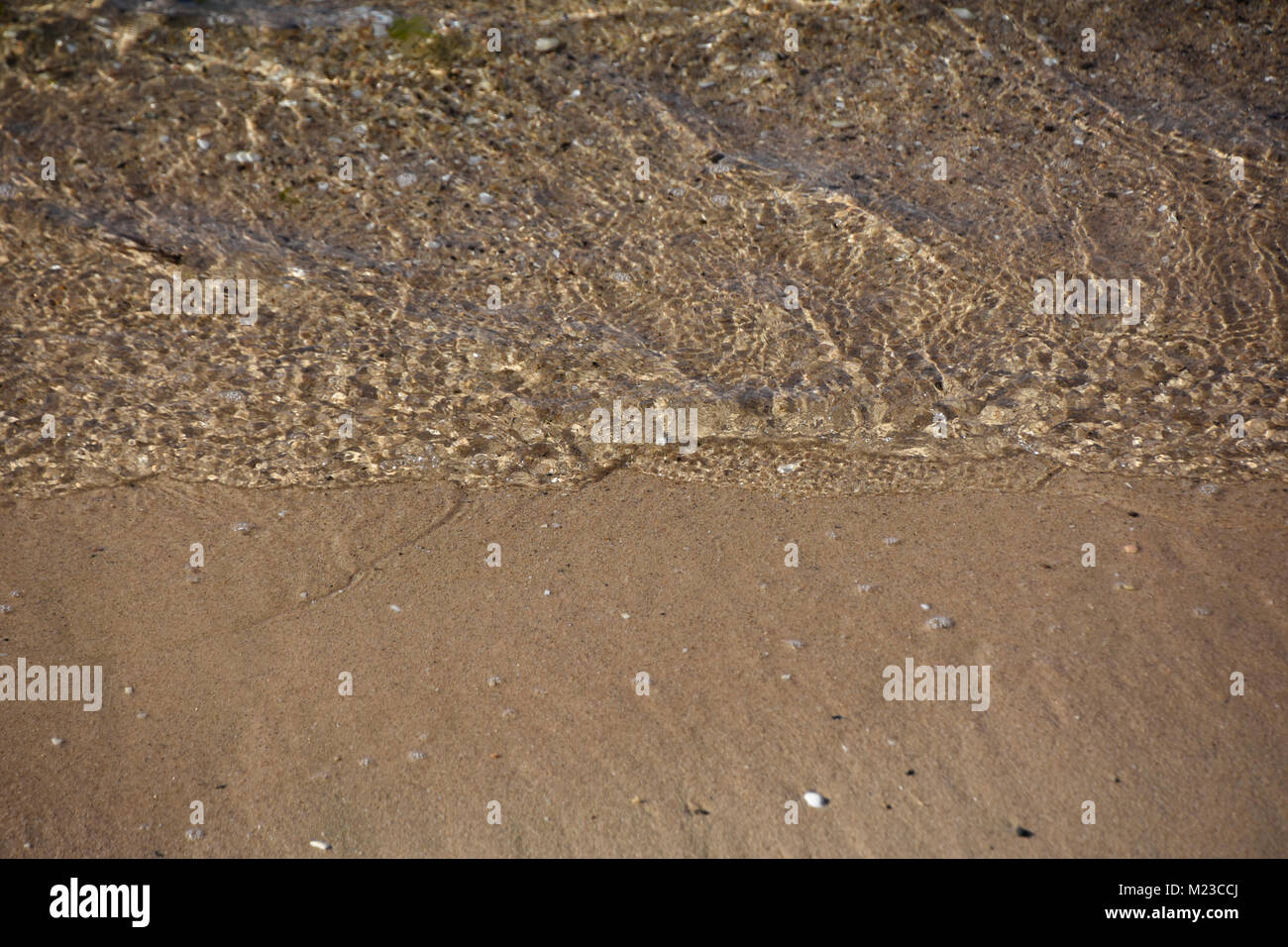 Crystal clean sea waters of Wellington, NZ Stock Photo - Alamy