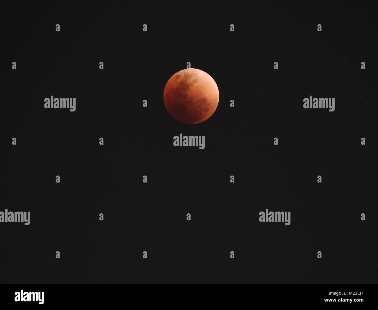 Spooky Blood Red Moons