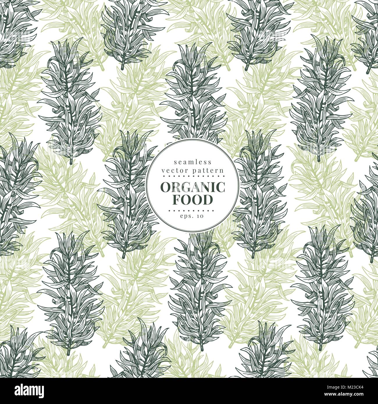 Tarragon. Vector seamless pattern with estragon for design menu ...