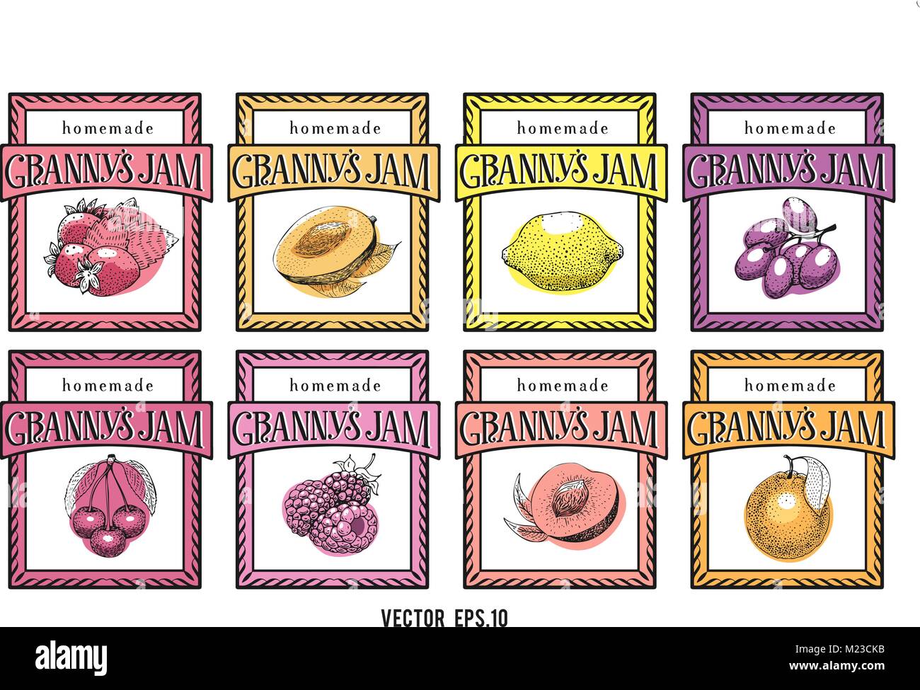 Berry and fruit labels set. Vintage style design template. Hand drawn ...