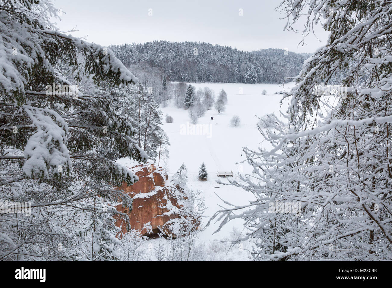 Zvartas red rock and river at city Cesis. Winter, cold and many snow ...