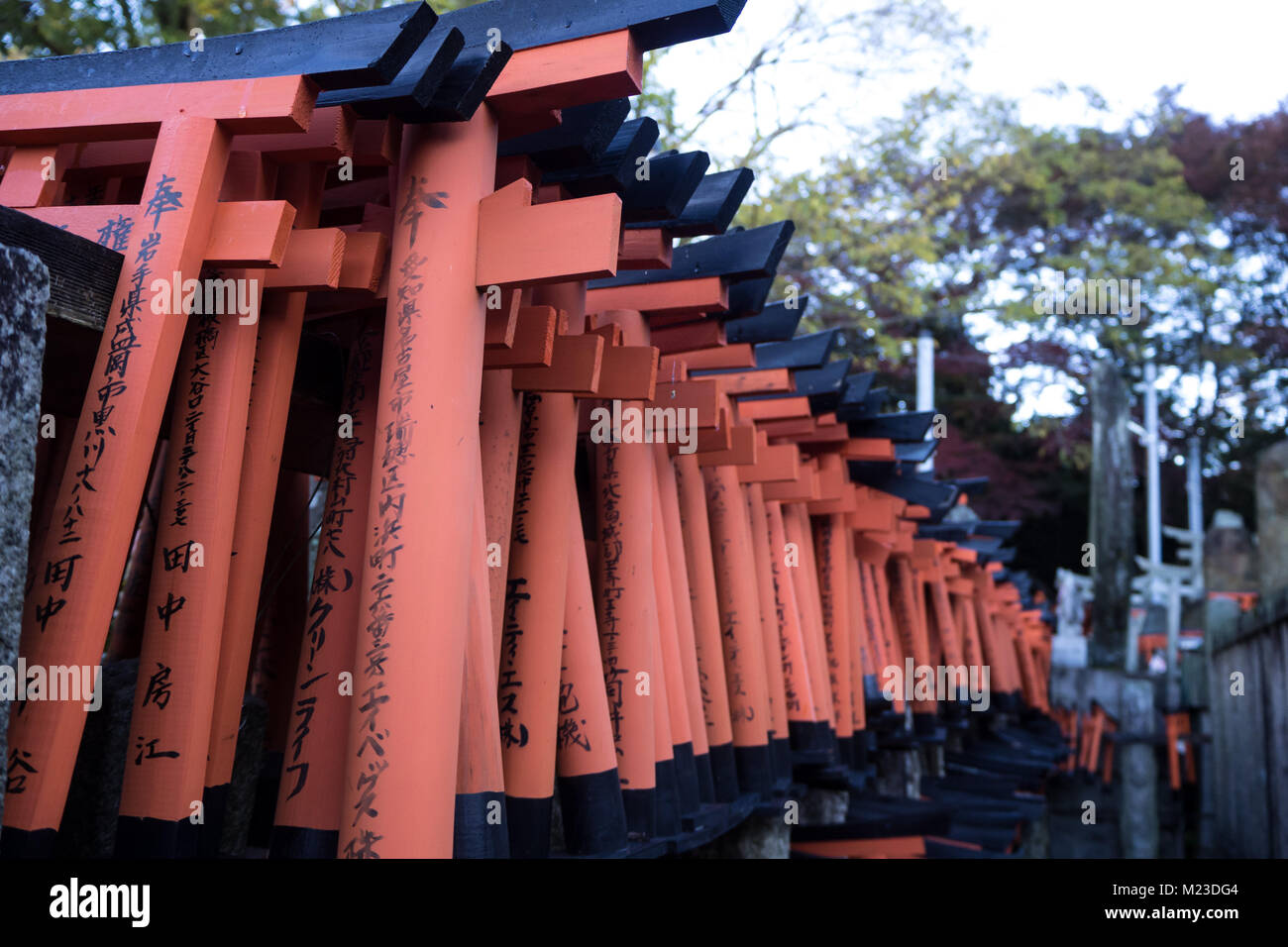 Red gates kyoto geisha hi-res stock photography and images - Alamy
