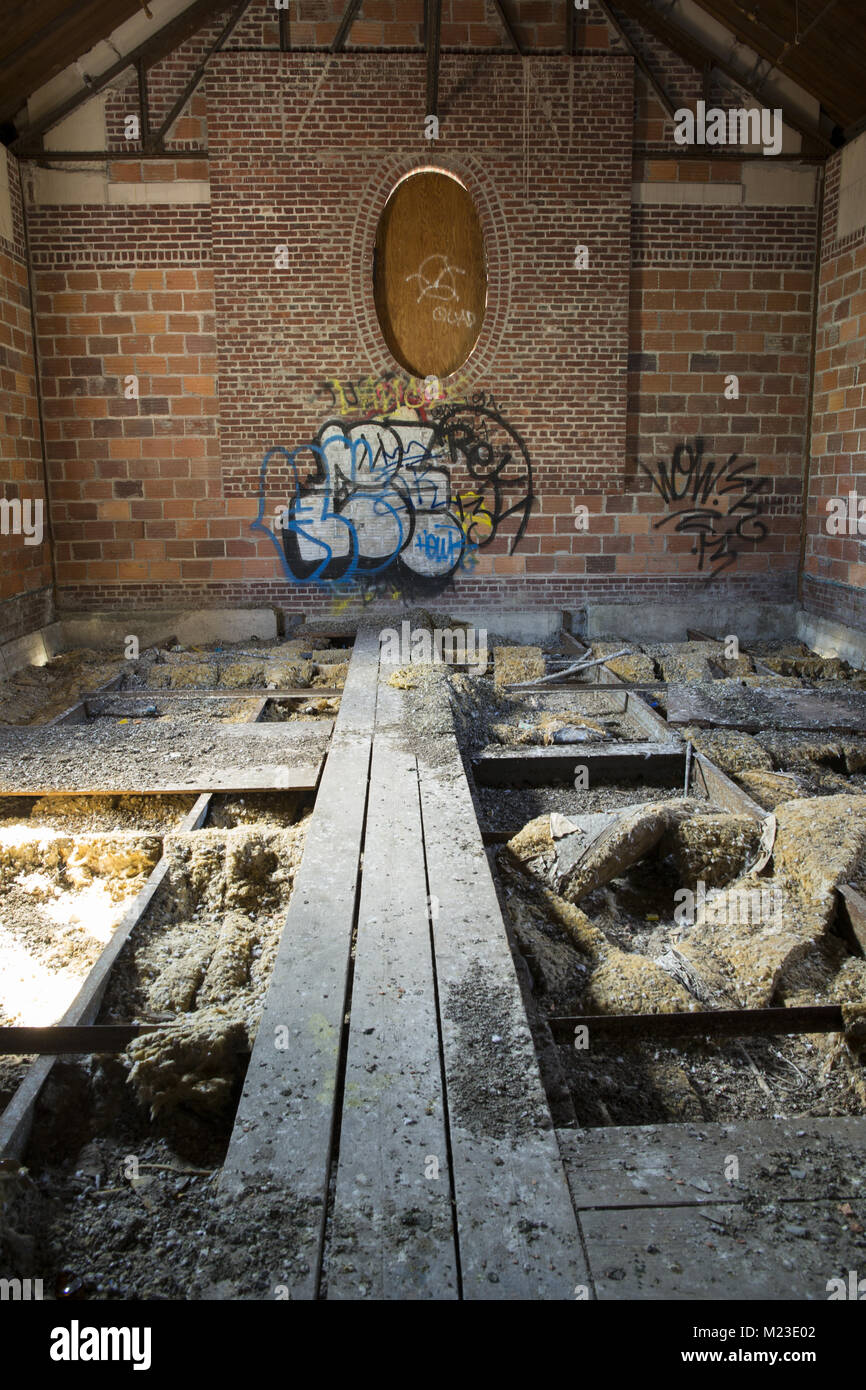 Kings Park Asylum. New York City. US Stock Photo - Alamy