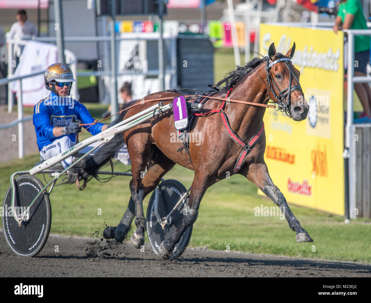 Successful swedish harness racing driver hi-res stock photography and ...