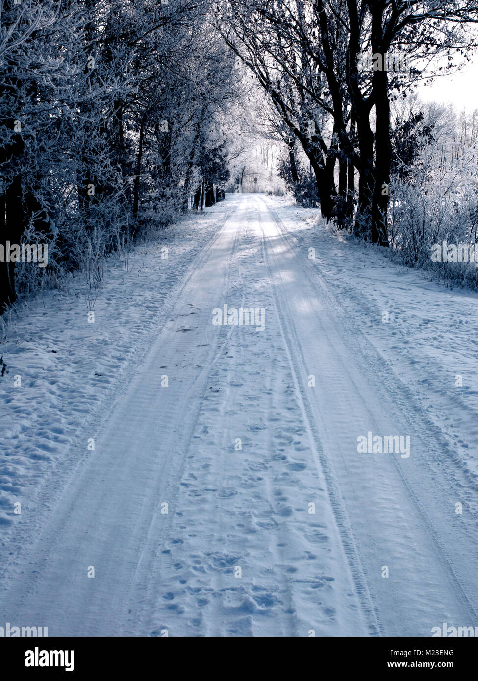 Farm track snow trees hi-res stock photography and images - Alamy
