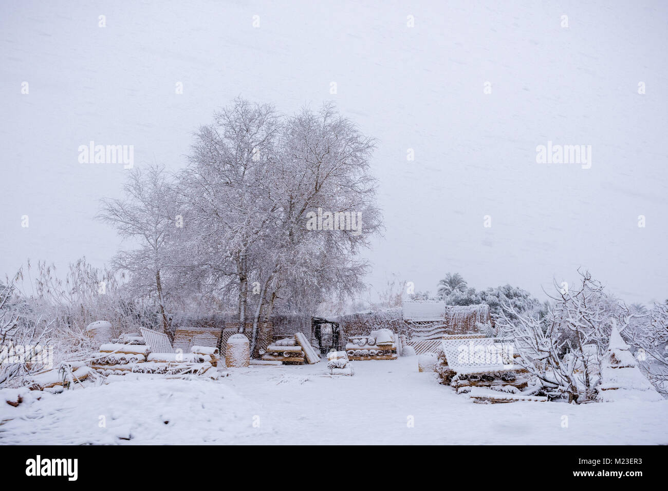 Snowfall in Ouarzazate for the first time in 30 years. South of Morocco ...