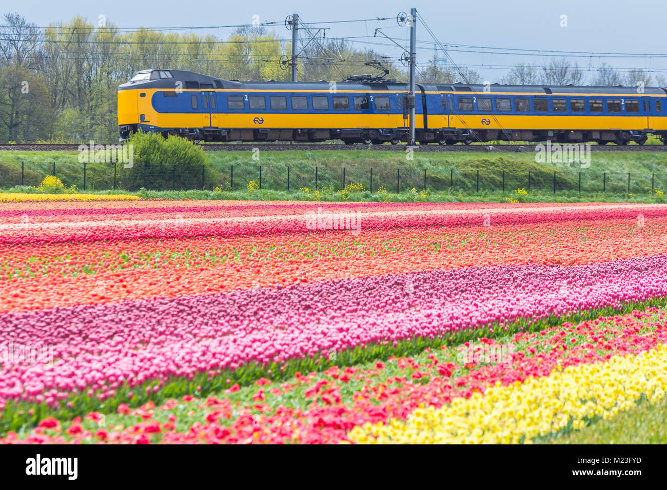 Zuid Holland, the Netherlands - 23 April 2017: Dutch electric sprinter ...