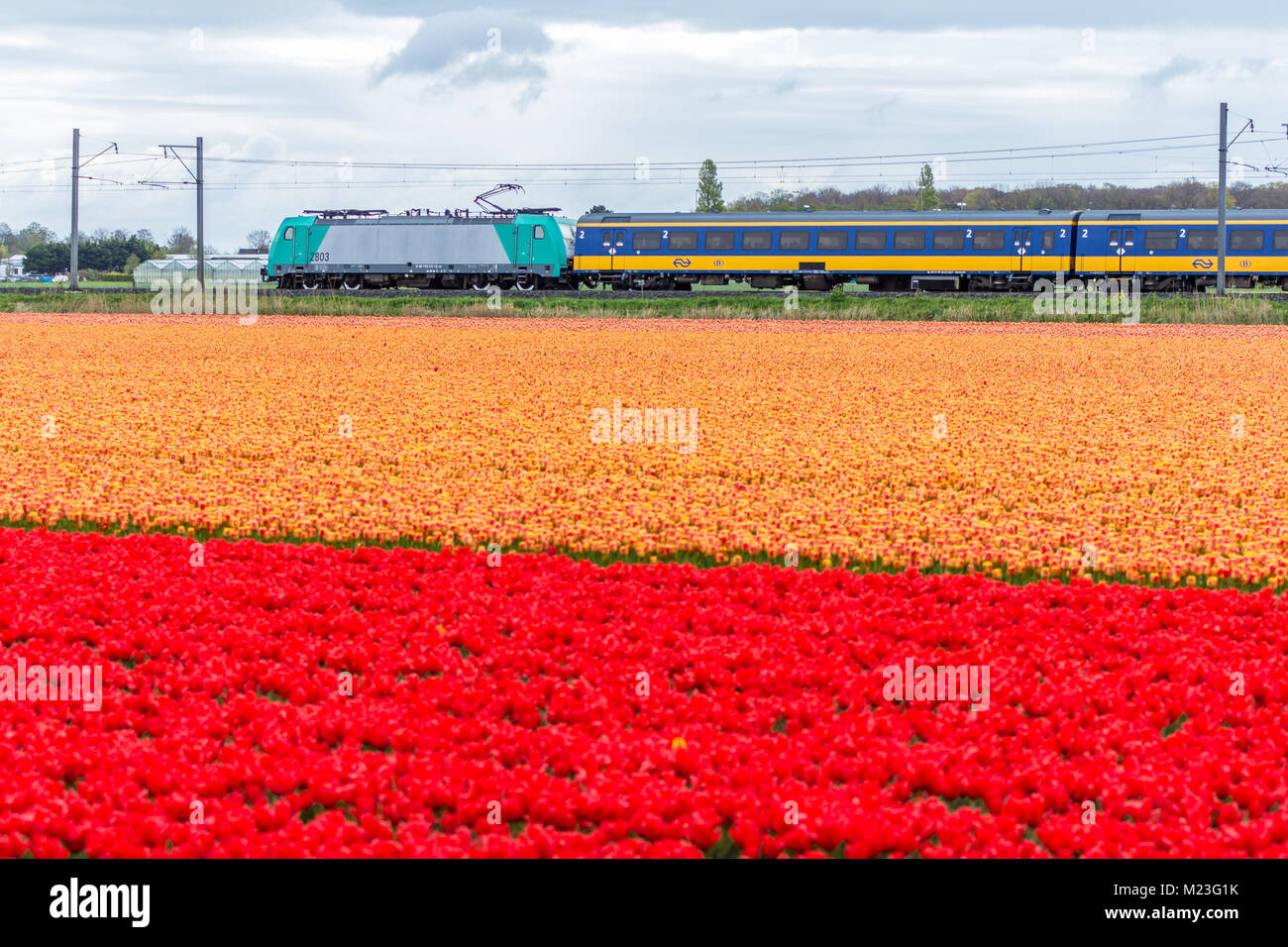 Moderm train hi-res stock photography and images - Alamy