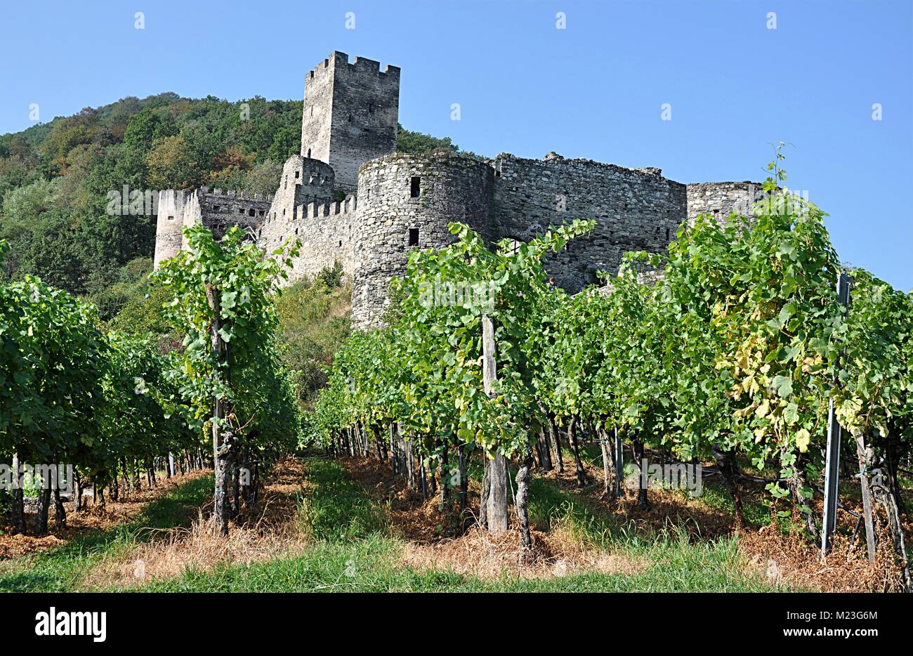 ruins and castle, village Spitz, Austria, Europe Stock Photo - Alamy