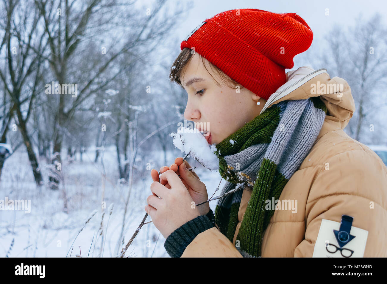 Girl winter close-ups licking snow Stock Photo - Alamy