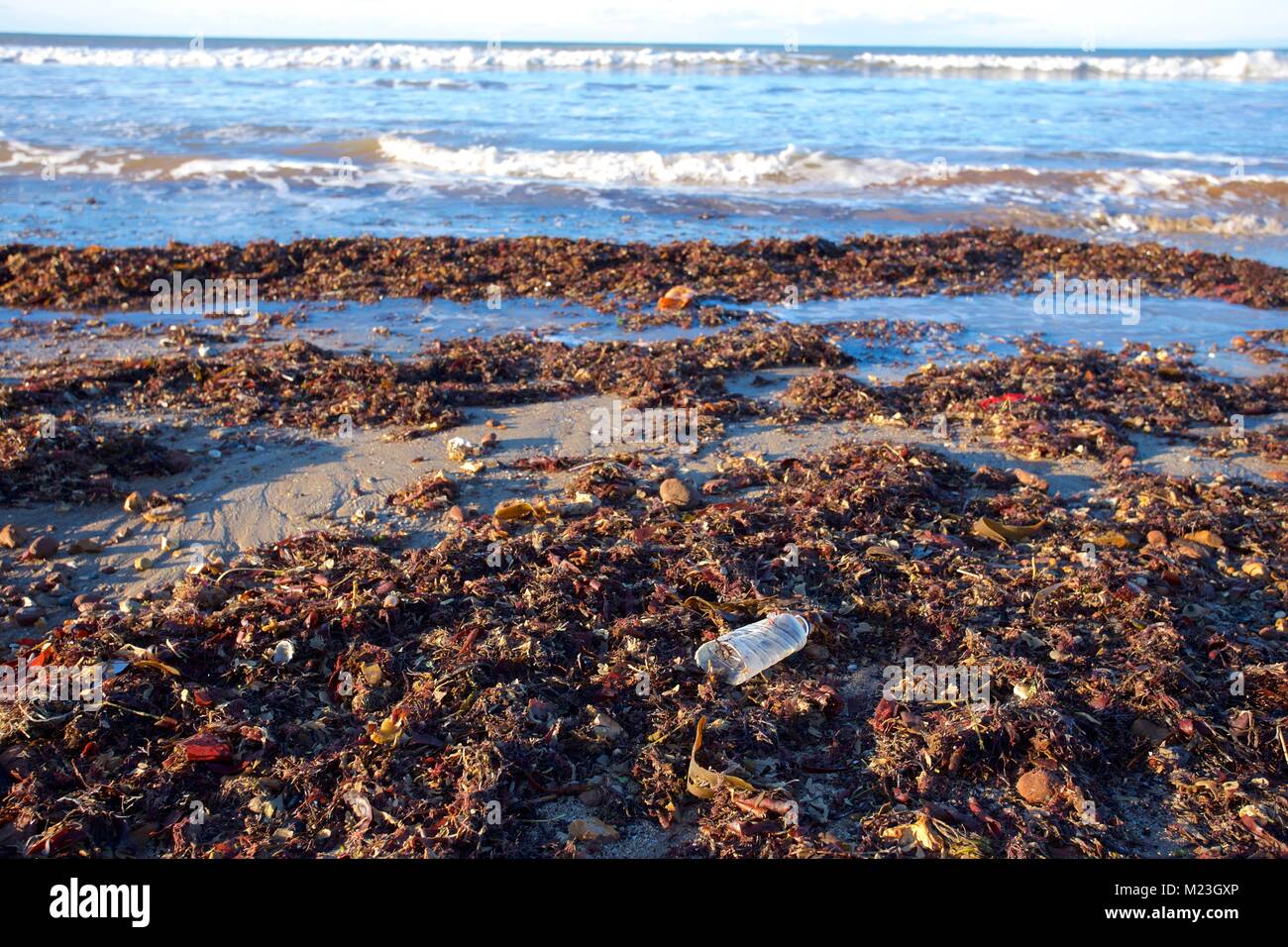 Washed up on beach hi-res stock photography and images - Alamy