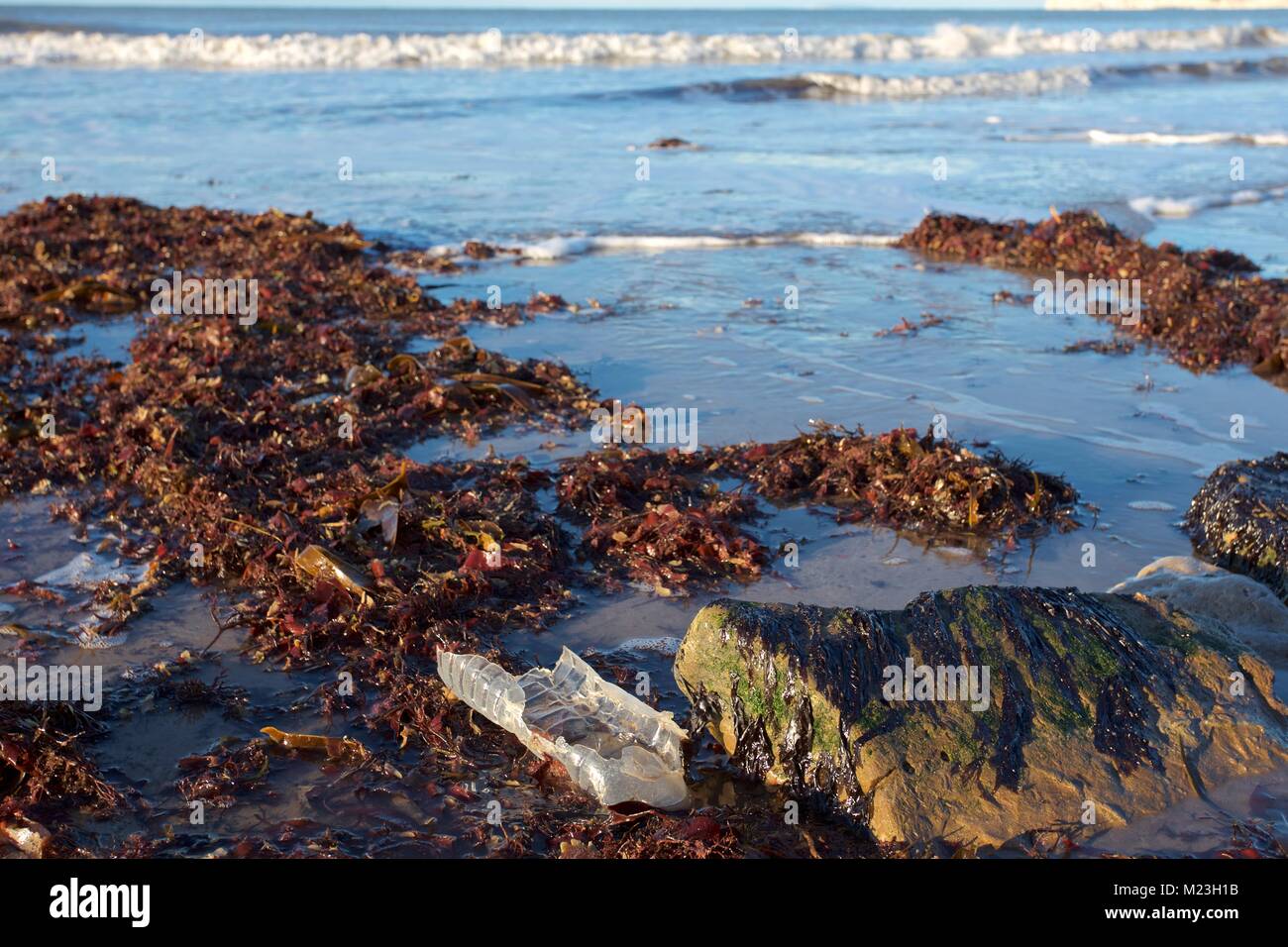 Plastic bottle washed up beach hi-res stock photography and images - Alamy