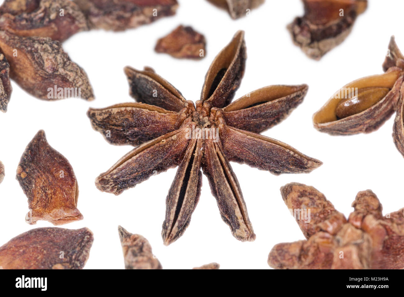 Close Up Of Star Anise Spice On White Background Stock Photo - Alamy