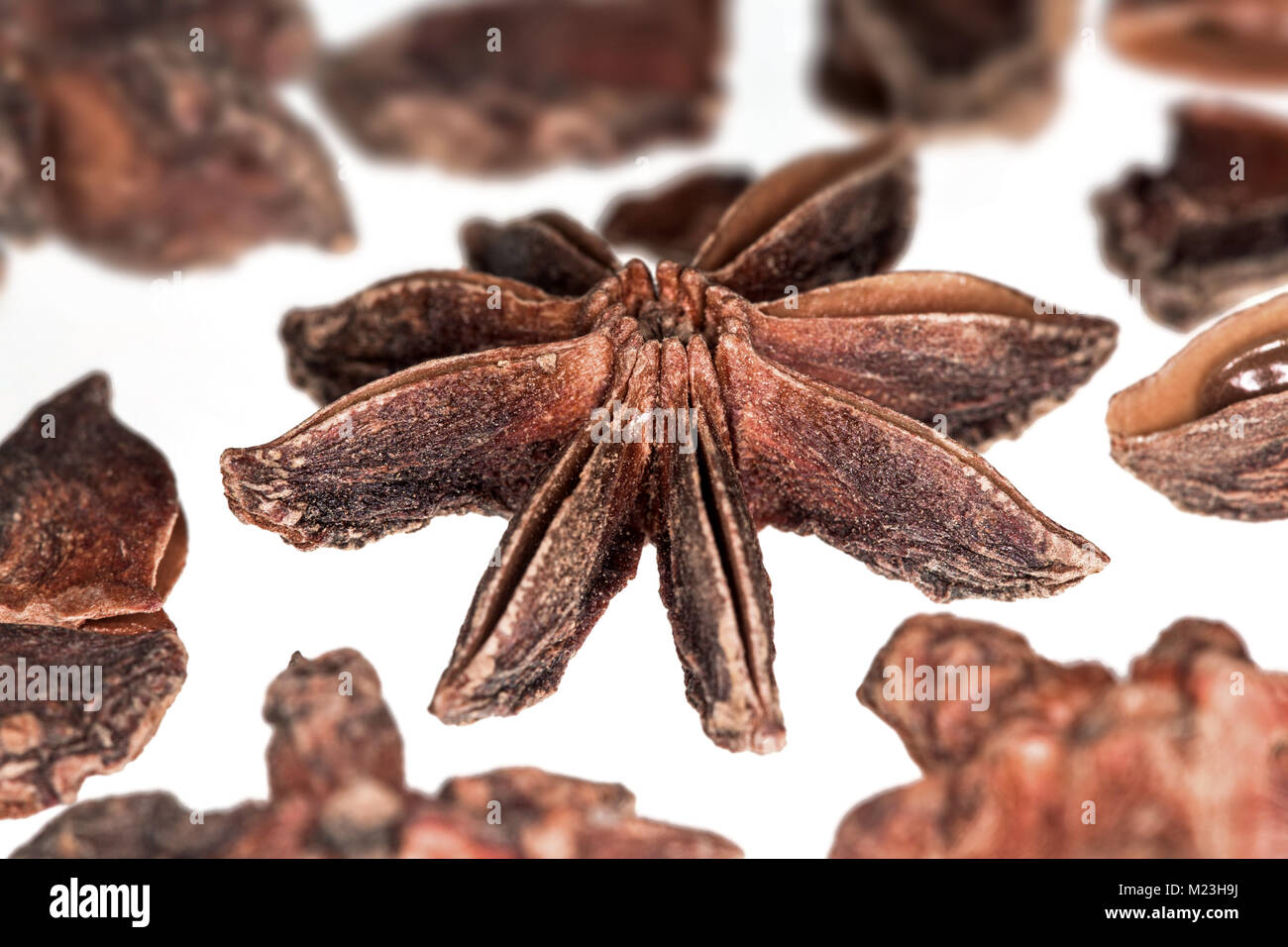 Close Up Of Star Anise Spice On White Background Stock Photo - Alamy